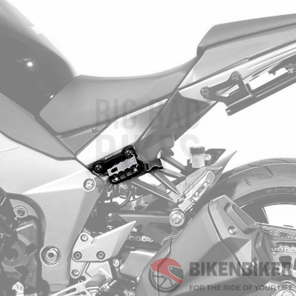 Kawasaki Ninja 1000 Luggage - Blaze Saddlebag Mount - SW-Motech – Bikenbiker